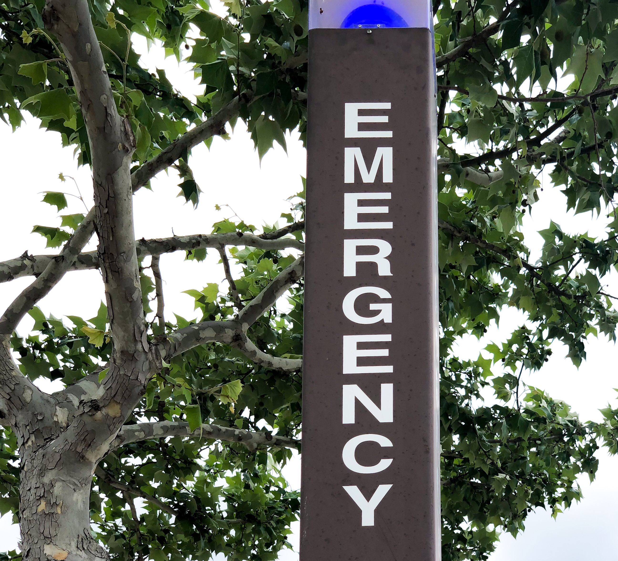 Students helping to keep PAC safe – PAC Student Media